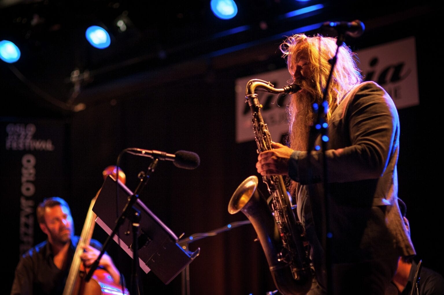 Sounds of Scandinavia: Ultimate Introduction to Nordic Music